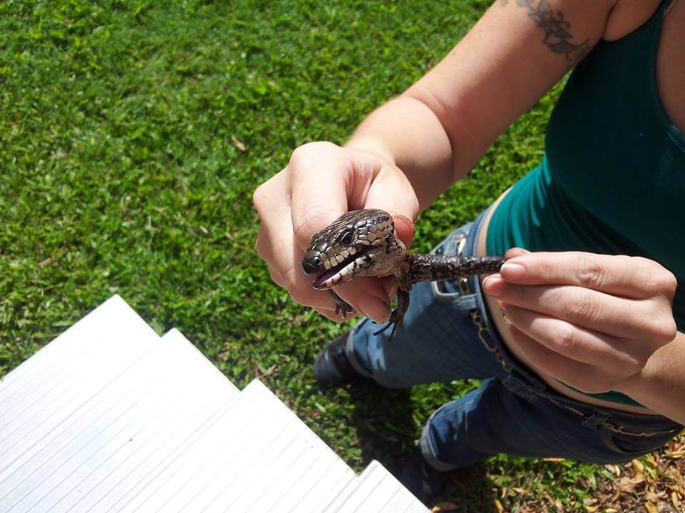 Southside Snake Services | Gallery